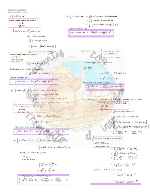 Ejercicio de Integrales trigonométricas | Apuntes con cremosito el inge ...