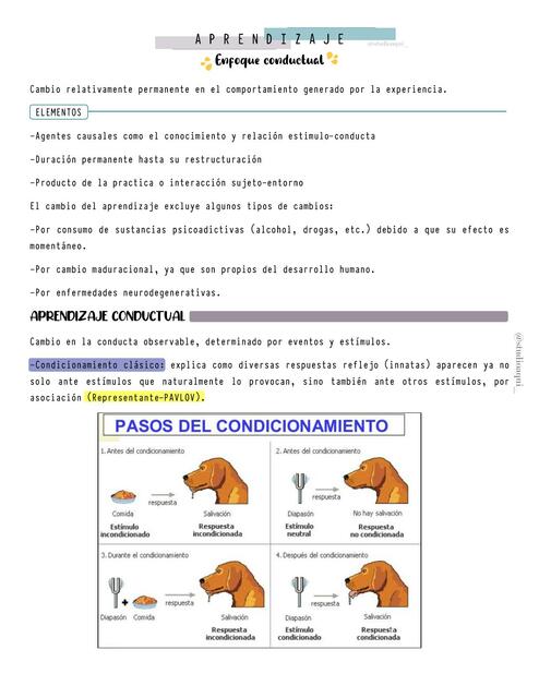 Aprendizaje Enfoque Conductual Studioaqui Udocz