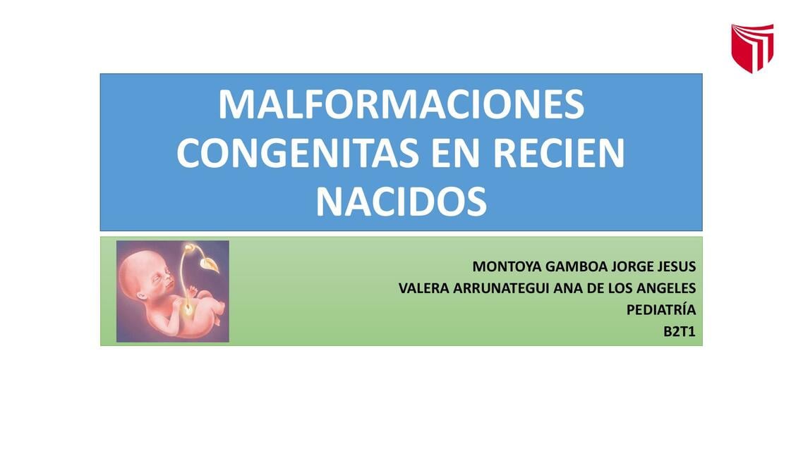 Malformaciones Congénitas en Recién Nacidos | JORGE MONTOYA GAMBOA | uDocz