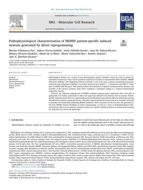 Pathophysiologial MERRF | Jhoselin Ramirez | uDocz