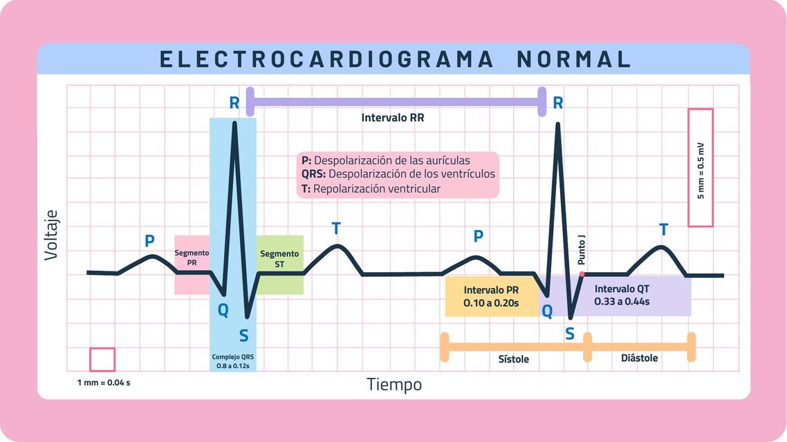 Electrocardiograma Normal Javier Rios UDocz Electrocardiograma Normal Javier Rios UDocz