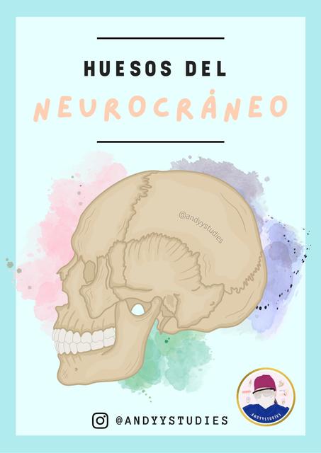 Huesos del Neurocráneo | Andyystudies | uDocz