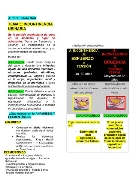 INCONTINENCIA URINARIA | Zaida RG | uDocz