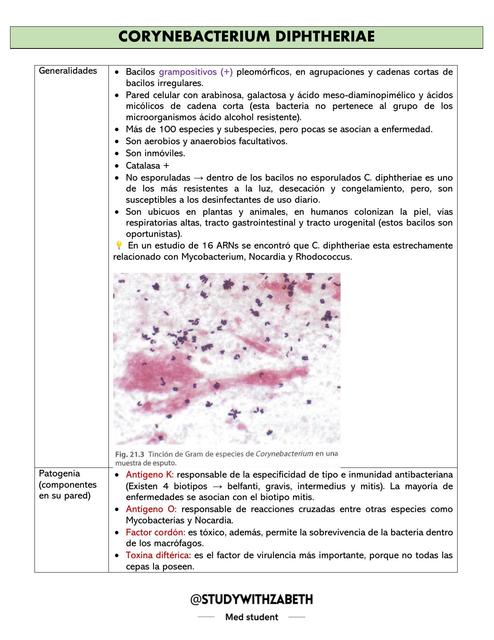 Corynebacterium Diphtheriae | StudyWithZabeth | uDocz