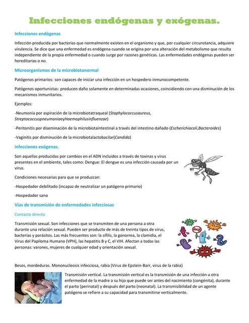 Infecciones Endógenas y Exógenas | GS | uDocz