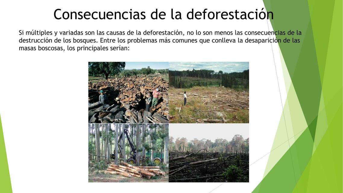 Consecuencias de la Deforestación | TATIANA TOLENTINO POMA | uDocz Consecuencias de la Deforestación | TATIANA TOLENTINO POMA | uDocz