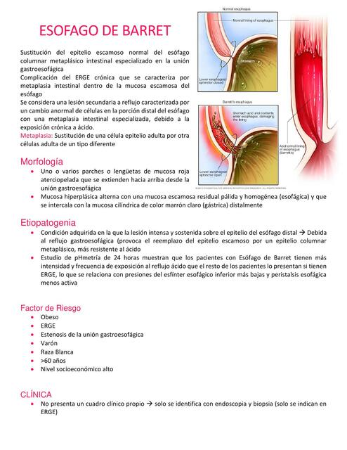 ESOFAGO DE BARRET | Raven | uDocz