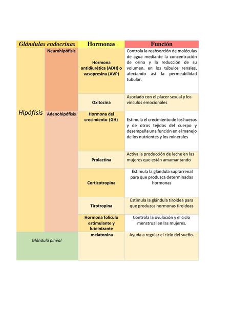 Glándulas endocrinas | Doctor_teco | uDocz
