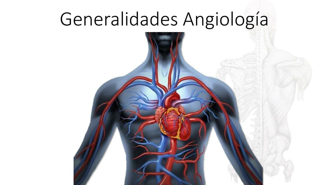 Generalidades Angiología y linfáticos | juana viale | uDocz
