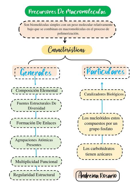 Precursores de Macromoléculas | Andreina Rosario R. | uDocz
