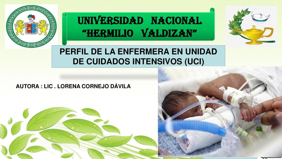 Perfil de una enfermera de la UCI | Lorena Fiorella | uDocz