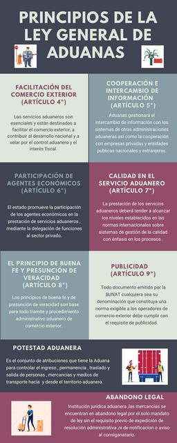Principios De La Ley General De Aduanas Greyssnic Udocz