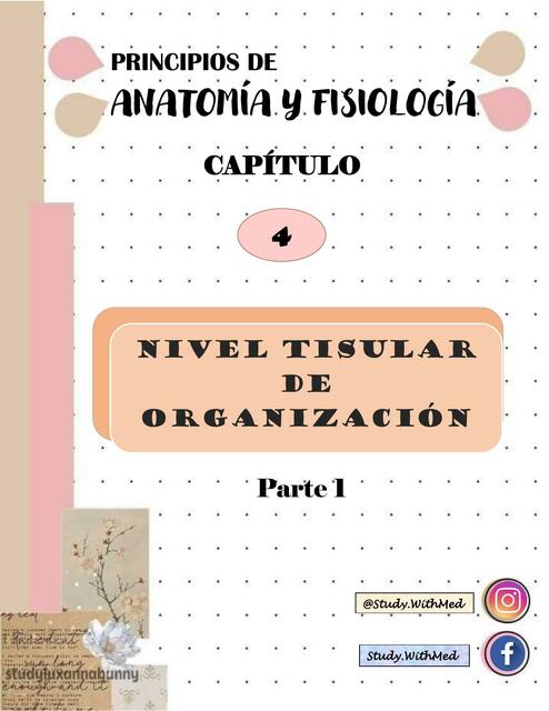 Nivel tisular de organización - Parte 1 | StudyWithMed | uDocz