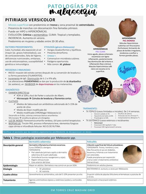 Patologías por Malassezia - Microbiología | Madiam Torres | uDocz