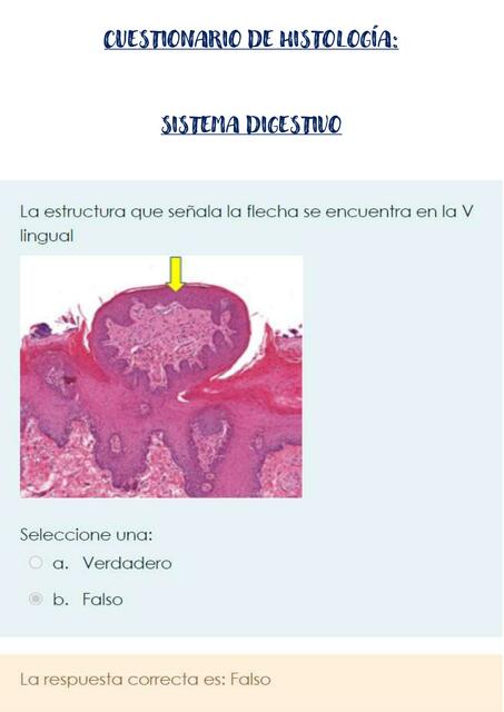 Histología 9P Sistema digestivo | Briggitte Yamilé Suarez Esteban | uDocz