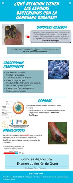 ¿QUÉ RELACION TIENEN LAS ESPORAS BACTERIANAS CON LA GANGRENA GASEOSA ...