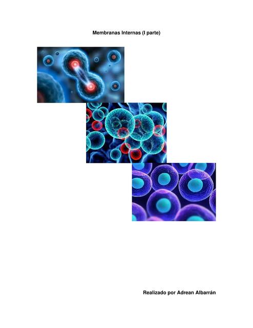 Membranas celulares Internas I , (Endomembranas) . | Adrean Albarrán ...
