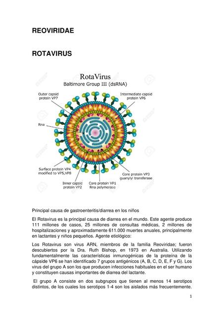 Rotavirus | Edith Caceres | uDocz