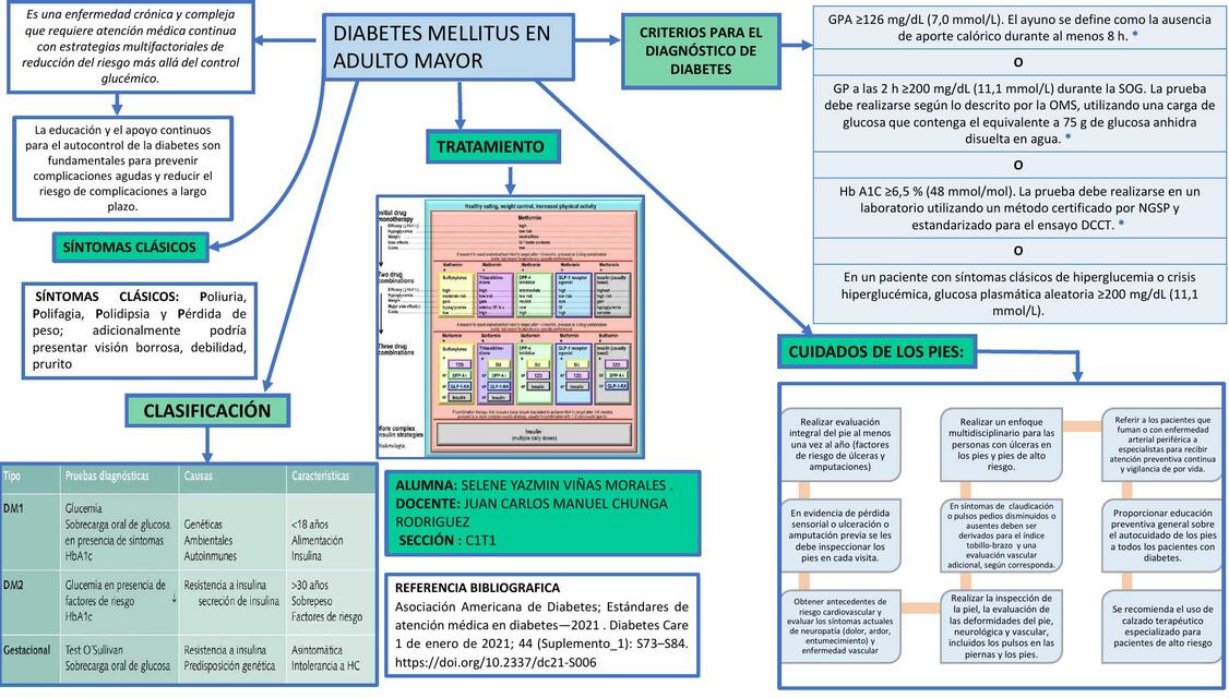 Diabetes Mellitus En Adulto Mayor Selene Yazmin Viñas Morales Udocz