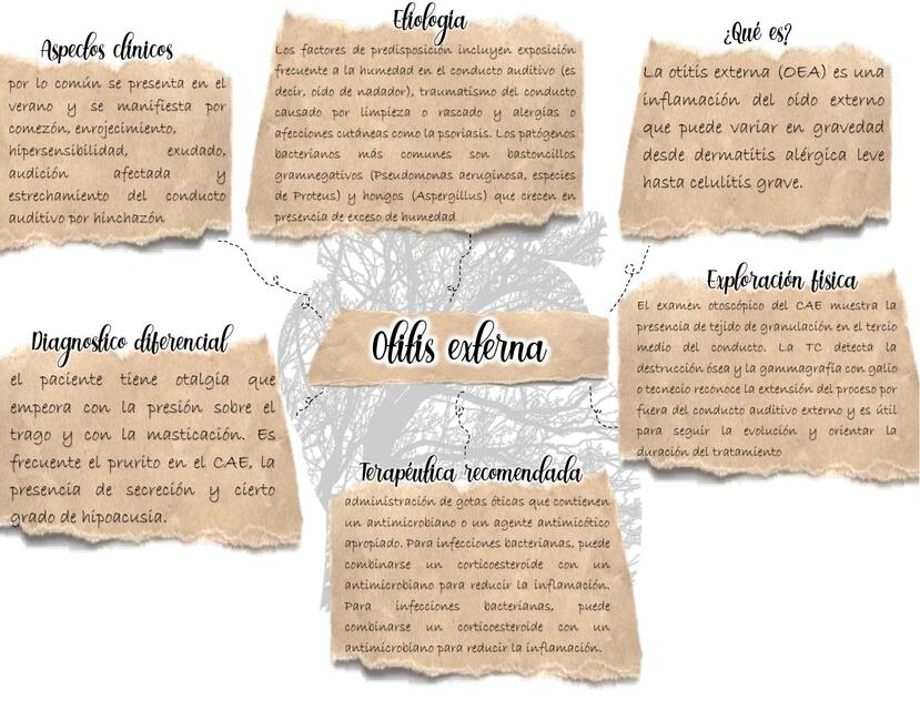 Doc medicina | Ivan | uDocz