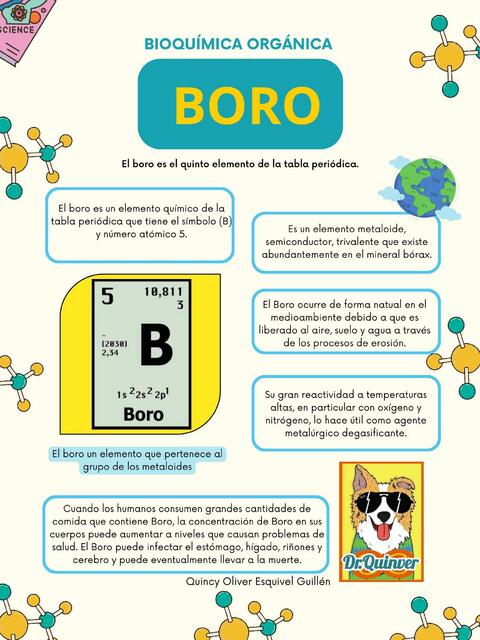 Boro | Dr.Quinver | uDocz