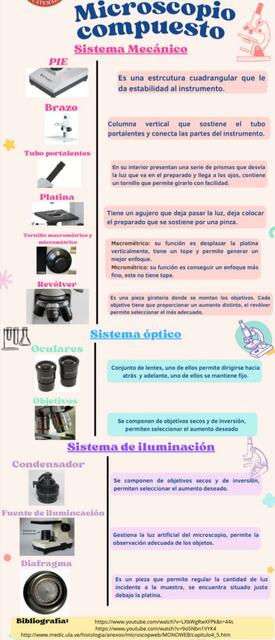 Microscopio Compuesto | uDocz