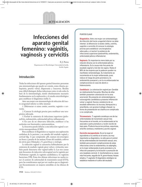 Infecciones del Aparato Genital Femenino: Vaginitis, Vaginosis y Cervicitis | Eylian Alayna ...