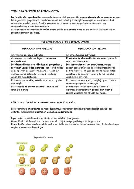 Tema 8 La Función de Reproducción | DocsGinecologia | uDocz