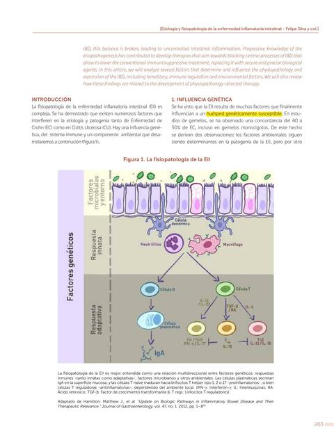 Etiología y fisiopatología de la enfermedad inflamatoria intestinal ...