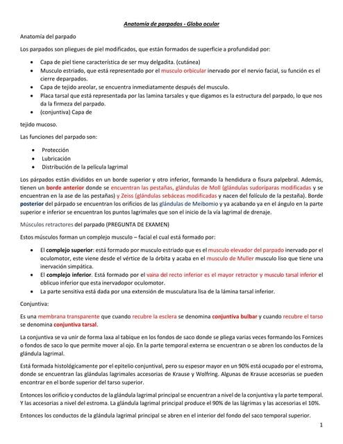 Oftalmologia Cinthia Condori Udocz