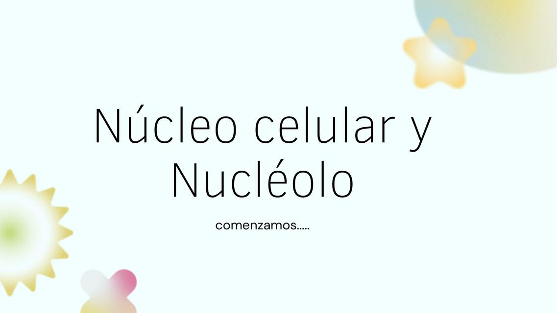 Flashcards de Núcleo celular y Nucléolo | Por kitzely reyes | uDocz