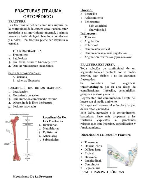 Resúmenes de Partes del hueso | Descarga apuntes de Partes del hueso Resúmenes de Partes del hueso | Descarga apuntes de Partes del hueso
