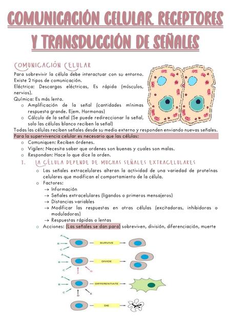Comunicación celular | Tegewa | uDocz