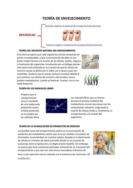 TEORÍA DE ENVEJECIMIENTO | Magaly Diaz | uDocz