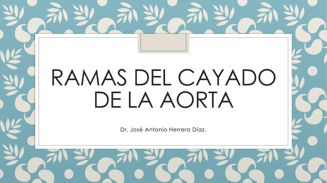 Ramas del cayado de la aorta | Moisés Francisco Alvarado García | uDocz