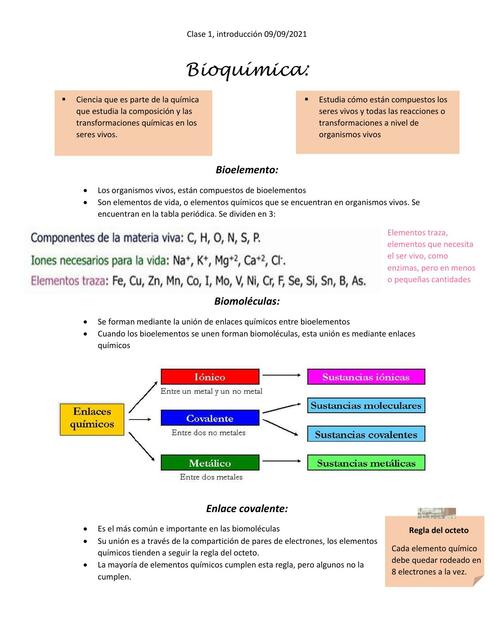 Introducción a la Bioquímica | KAREN SOFIA BERMUDEZ MARTINEZ | uDocz