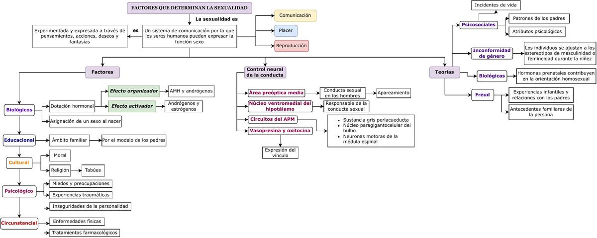 Determinantes de la sexualidad | joseph paredes | uDocz