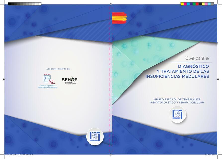 Guia GETH Diagnostico Tratamiento Insuficiencias Medulares | Beatriz ...