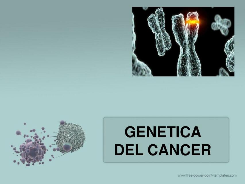 Genética del cáncer | belkis Garcia | uDocz