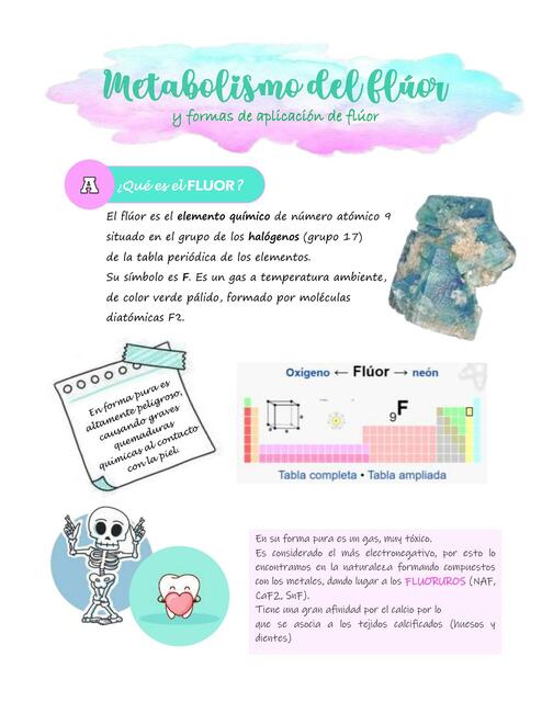 Metabolismo del Flúor y Técnicas de Aplicación | Emma Joselyn | uDocz