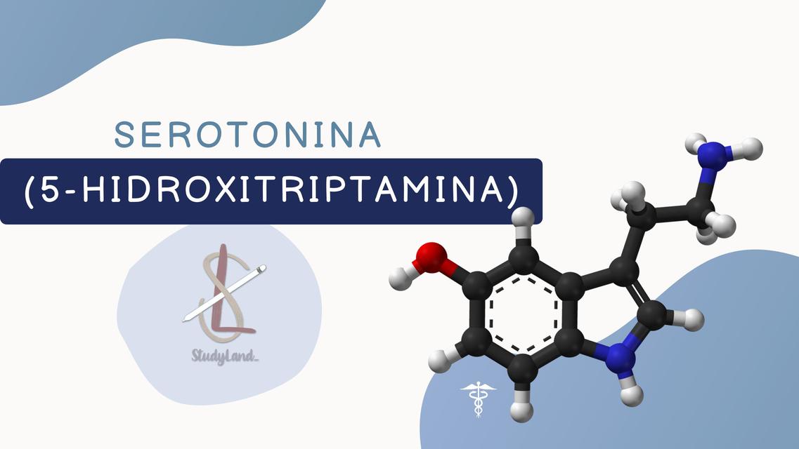 Serotonina | StudyLand | uDocz