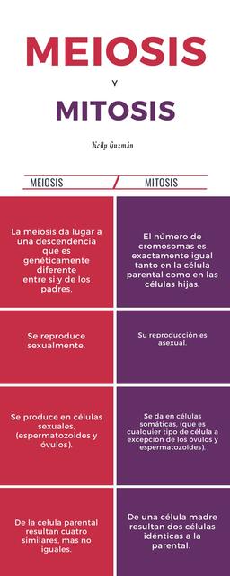 Comparación entre meiosis y mitosis | Lylo | uDocz