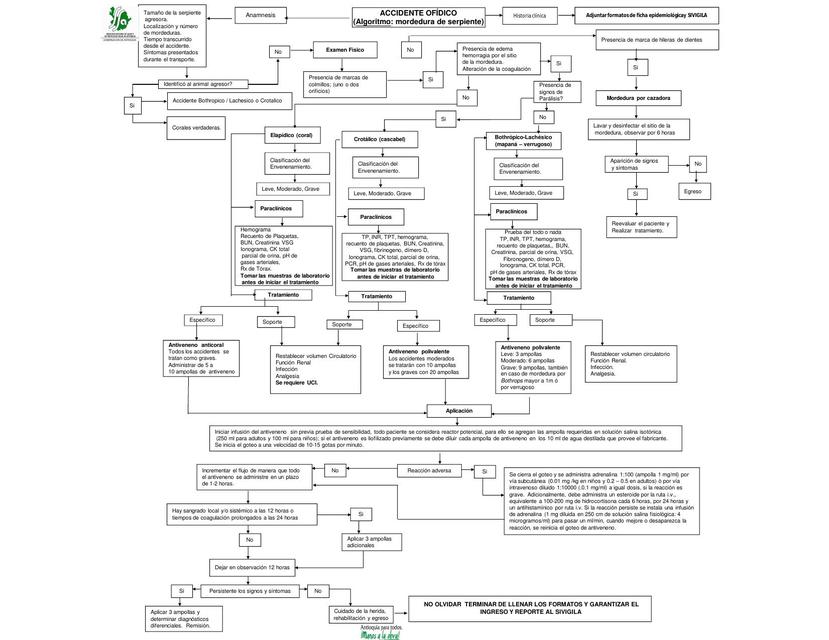 Mordedura de serpiente | UCI UCI | uDocz