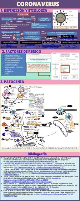CORONAVIRUS: definición, etiología, factores de riesgo, patogenia ...