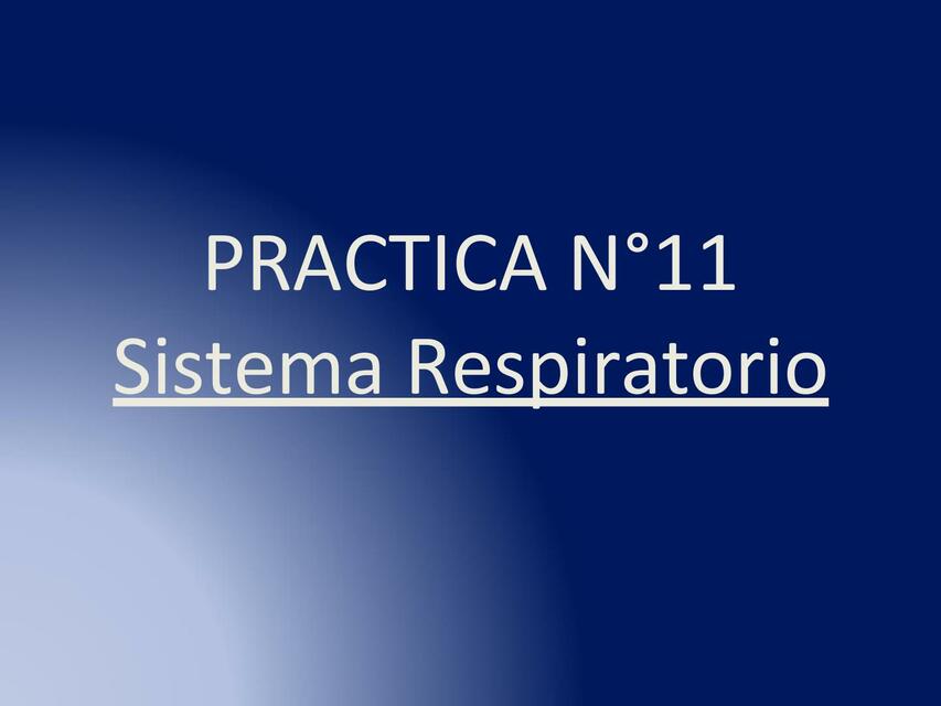 Práctica N11 - Sistema respiratorio | ALMENDRA MARIA VILLANUEVA PONTE ...