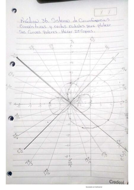 Concentricas | Tania Mejía | uDocz