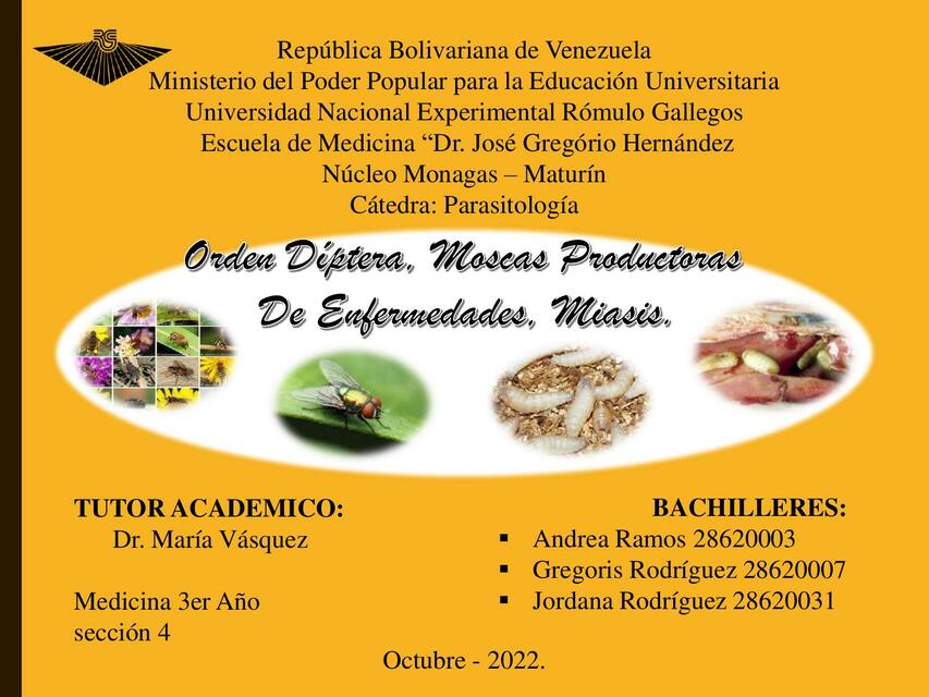 Miasis | Jordana | uDocz