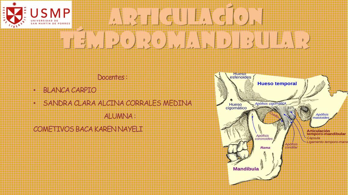 Articulación temporomandibular | karen cometivos | uDocz