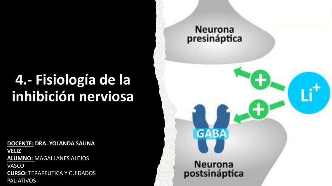 Fisiología de la Inhibición Nerviosa | VASCO MAGALLANES | uDocz