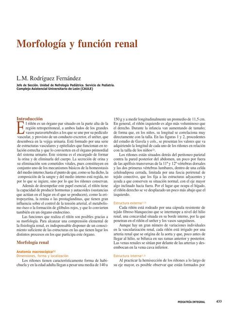 Morfología y función renal | Medicina y Farmacia | uDocz